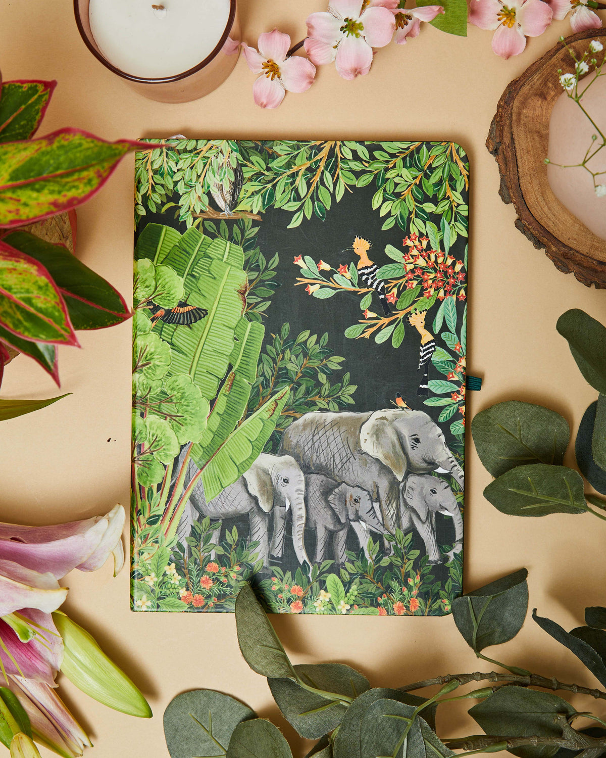 Rainforest Duo Journal
